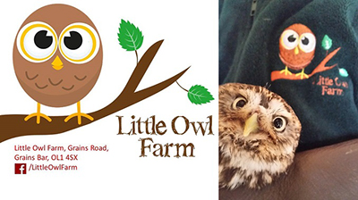 Little Owl Farm - QA Education Magazine
